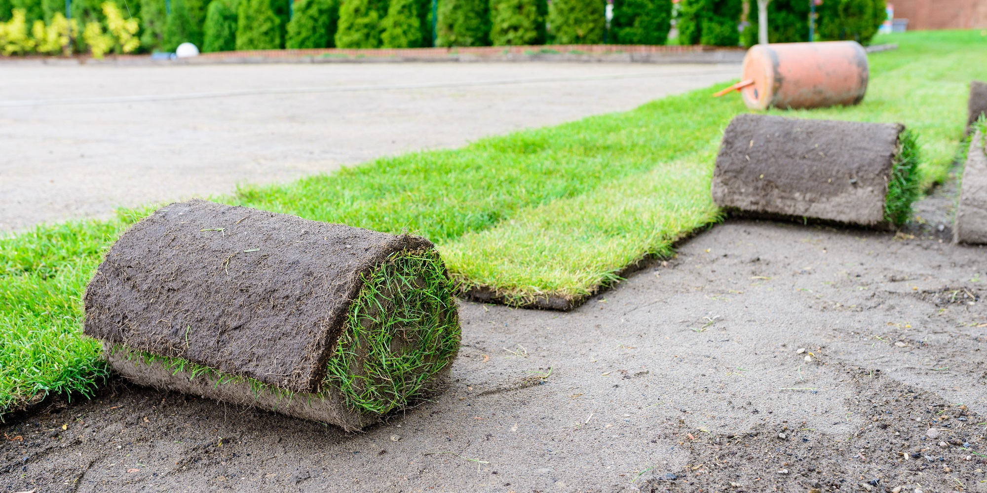 The Benefits Of Using Sod Country Green Turf Farms