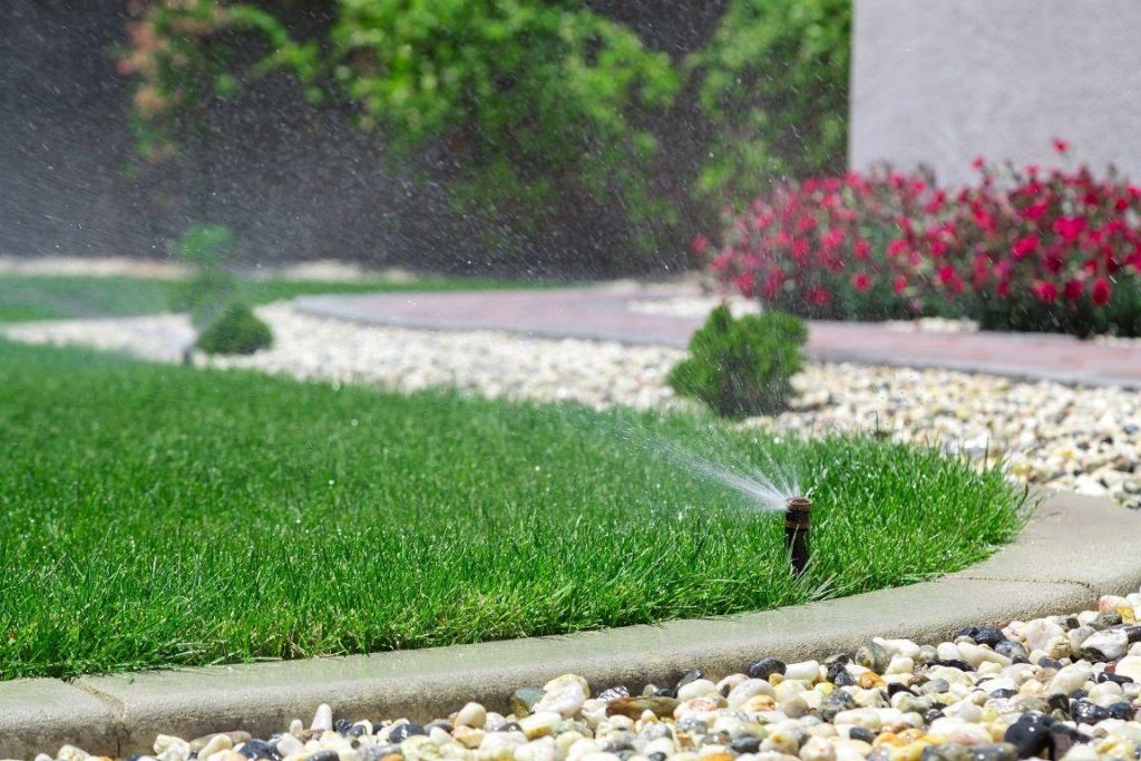 5 Water-Saving Lawn Care Tips | Country Green Turf Farms