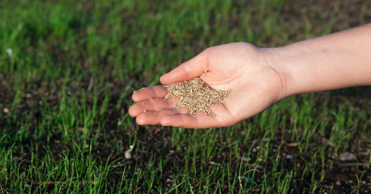 Hydroseeding Tumwater | Country Green Turf Farms