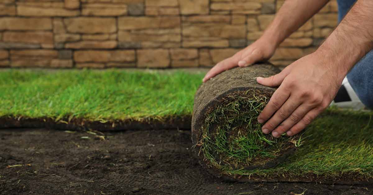Sod Burien | Country Green Turf Farms