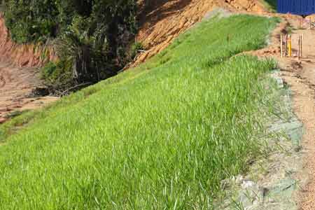 Hydroseeding Silverdale | Country Green Turf Farms