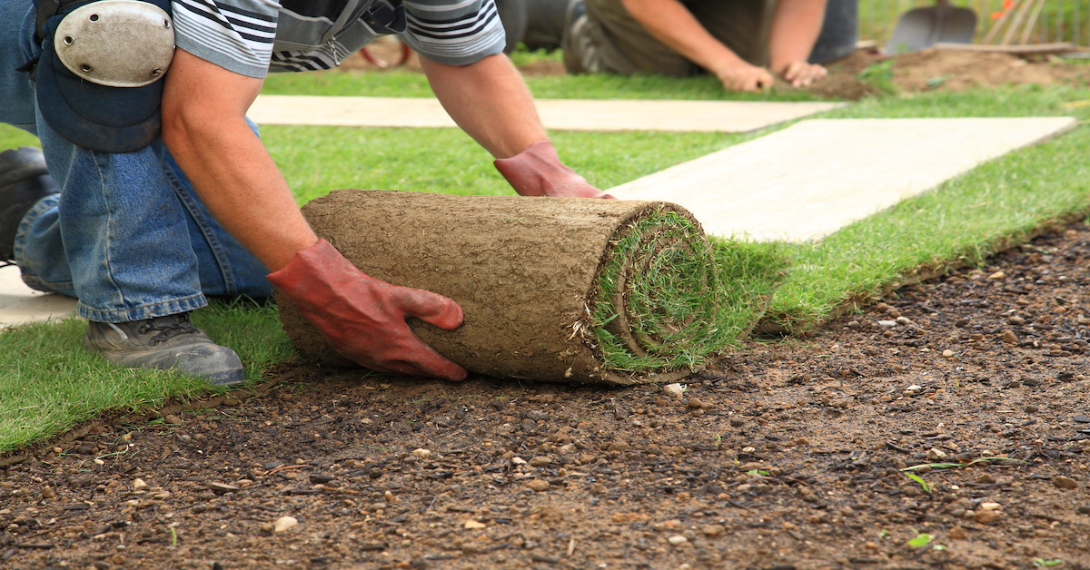 How To Soil Preparation Before Laying New Sod in Lynnwood WA